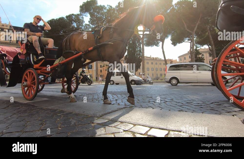 Hand held carriages Stock Videos & Footage - HD and 4K Video Clips - Alamy