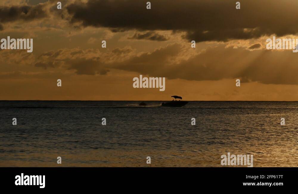Float pulling Stock Videos & Footage - HD and 4K Video Clips - Alamy