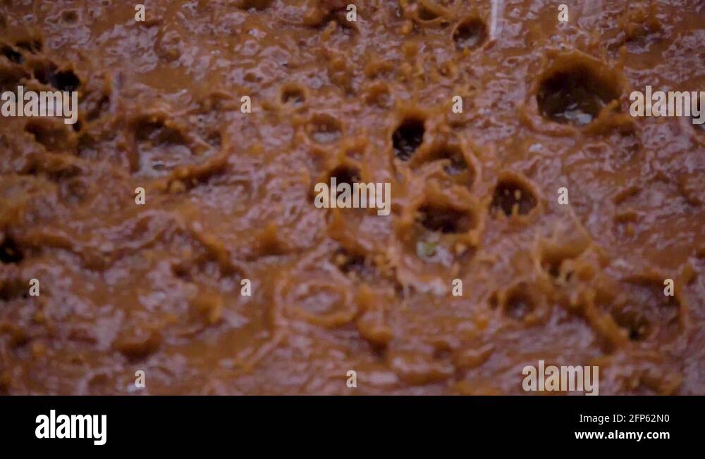 Rain falling into muddy puddle Stock Videos & Footage - HD and 4K Video ...