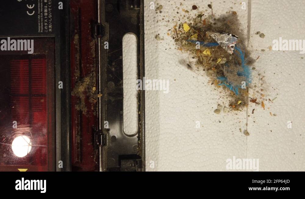 Bin dust Stock Videos & Footage - HD and 4K Video Clips - Alamy