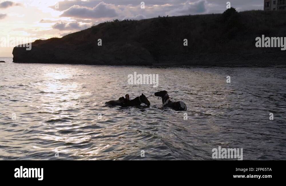 Surf splash Stock Videos & Footage - HD and 4K Video Clips - Alamy
