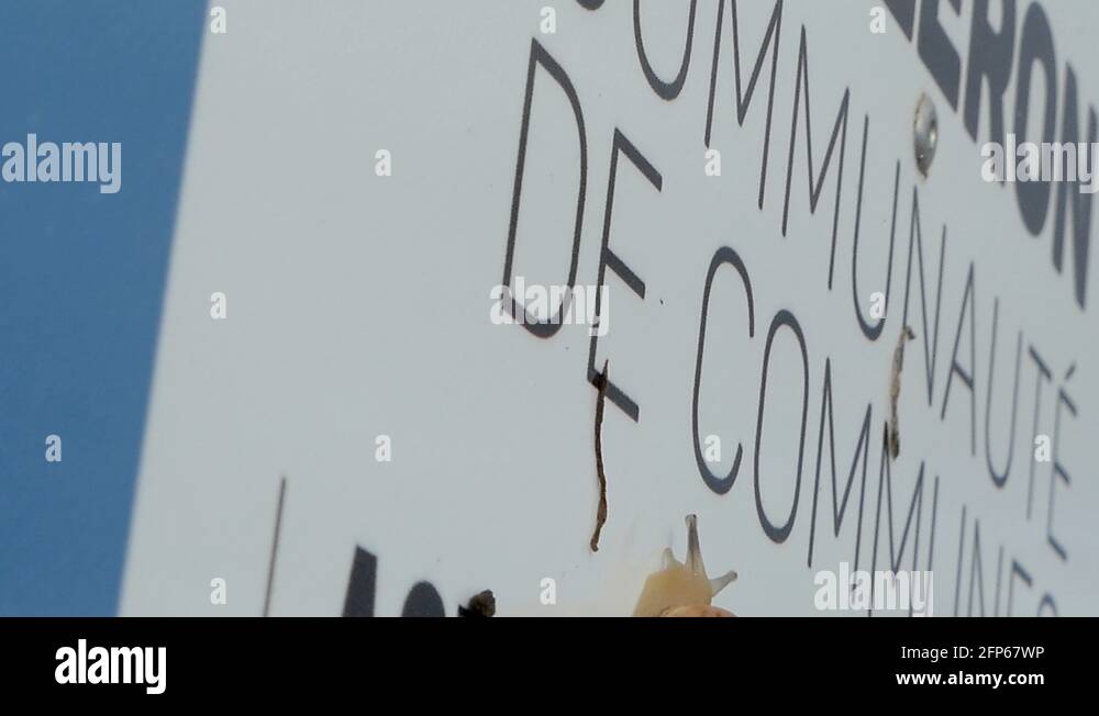 Helix foot Stock Videos & Footage - HD and 4K Video Clips - Alamy