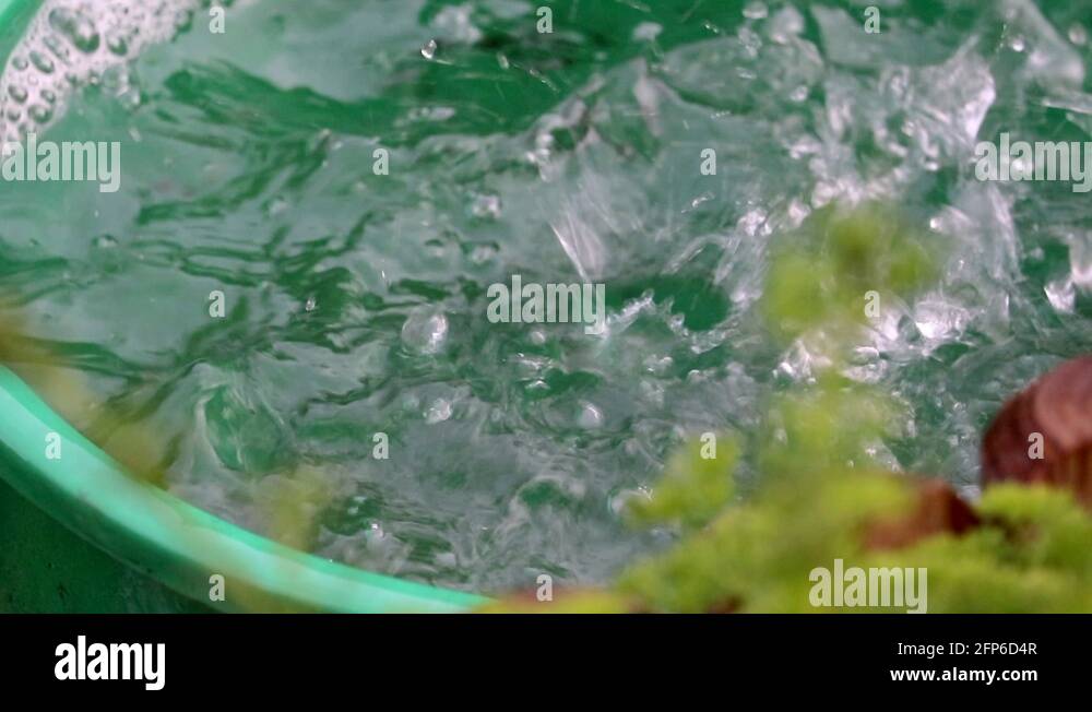 Close Up Of Water Splashing Into A Green Bucket About To Overflow Stock ...