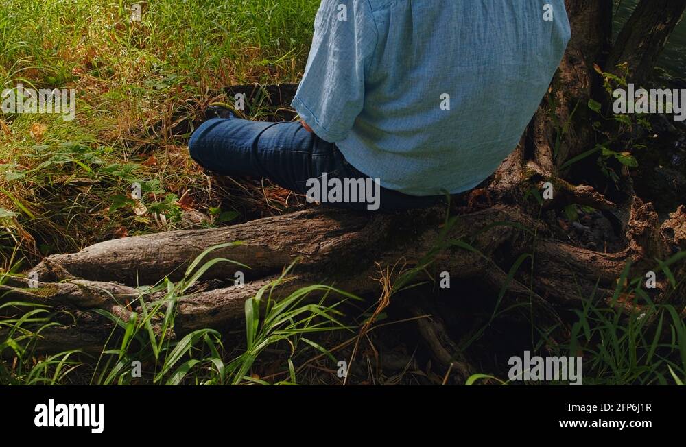 Older Man sits on large tree root near river, tall grasses, tilt up ...