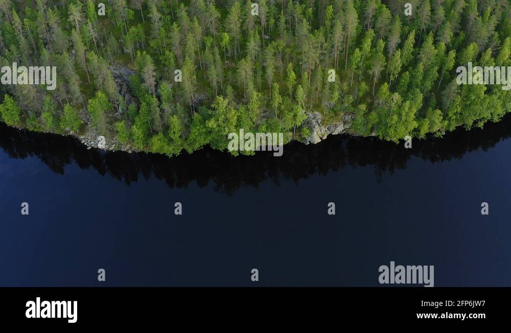 Taiga aerial Stock Videos & Footage - HD and 4K Video Clips - Alamy