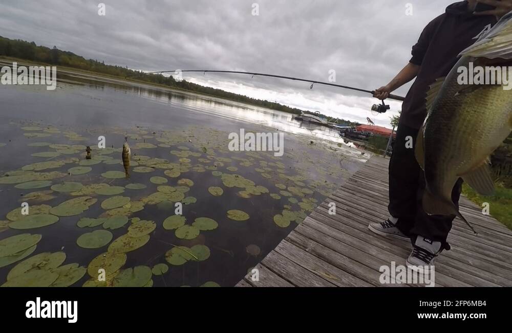 Off shore fishing Stock Videos & Footage - HD and 4K Video Clips - Alamy