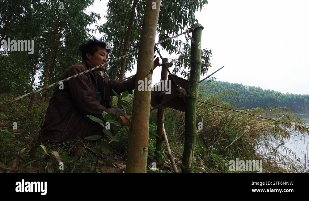 vietnamese local man unrolling rope tied to the bamboo raft used for ...