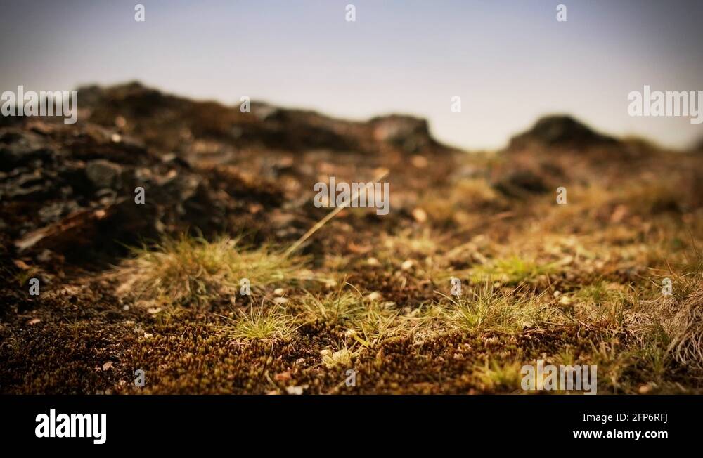 Close shot soil structure Stock Videos & Footage - HD and 4K Video ...