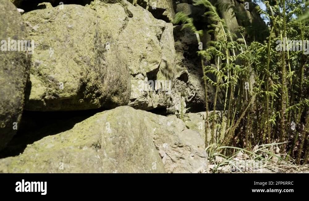 Traditional weathered limestone wall Stock Videos & Footage - HD and 4K ...