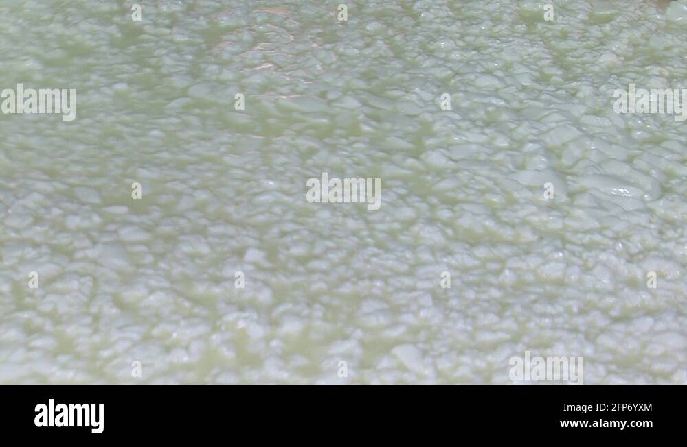 Cheese harp for cheese making Stock Videos & Footage - HD and 4K Video ...