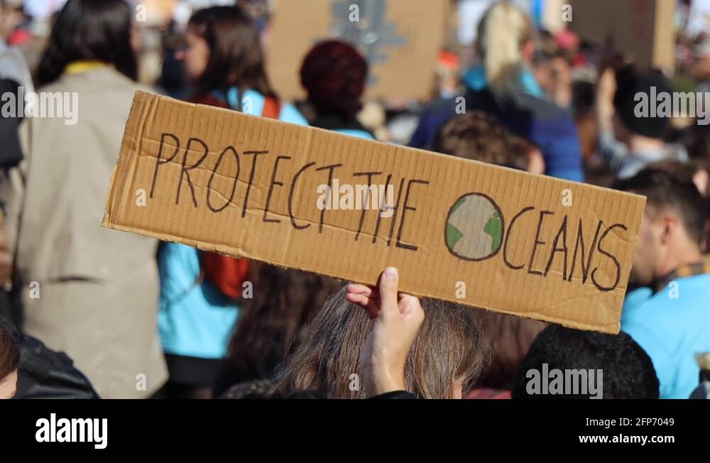 Protect our environment sign Stock Videos & Footage - HD and 4K Video ...