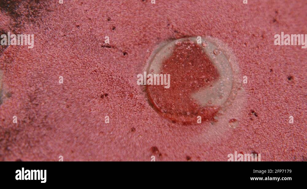 Water a substance Stock Videos & Footage - HD and 4K Video Clips - Alamy