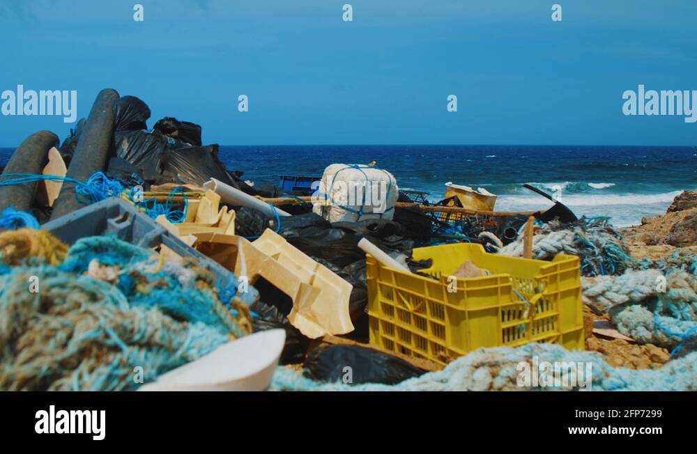 Litter beach aruba Stock Videos & Footage - HD and 4K Video Clips - Alamy