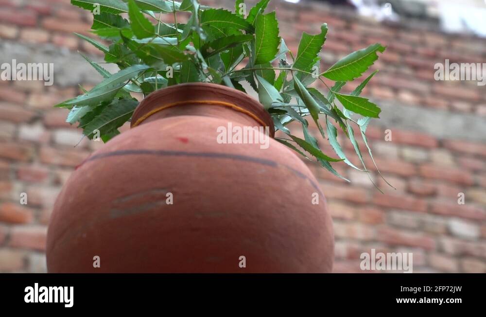 Indian woman carrying pot on head Stock Videos & Footage - HD and 4K ...