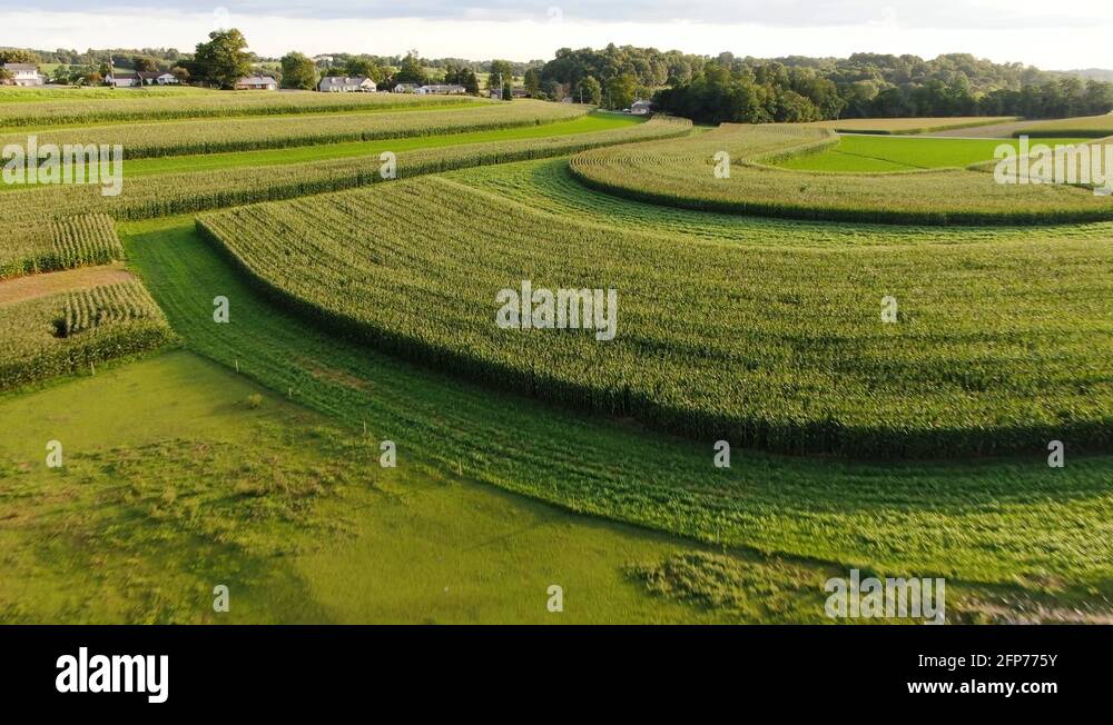 Hillside erosion house Stock Videos & Footage - HD and 4K Video Clips ...