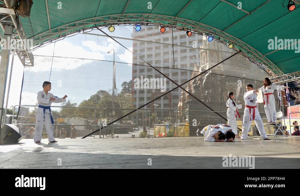 Kidsactivity Stock Videos & Footage - HD and 4K Video Clips - Alamy