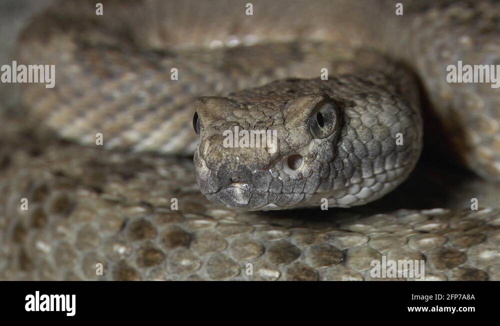 Infrared sensing Stock Videos & Footage - HD and 4K Video Clips - Alamy