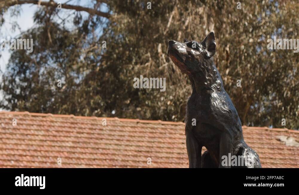 'Dog on the Tucker Box' statue restored after having been knocked over ...