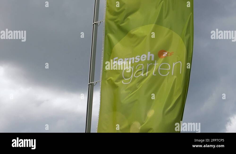 Zdf germany logo Stock Videos & Footage - HD and 4K Video Clips - Alamy