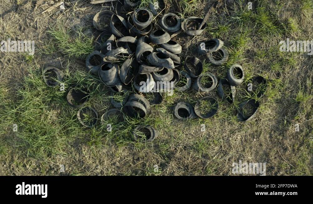 Rubber tyres dumped in pile, Suriname rainforest deforestation area ...