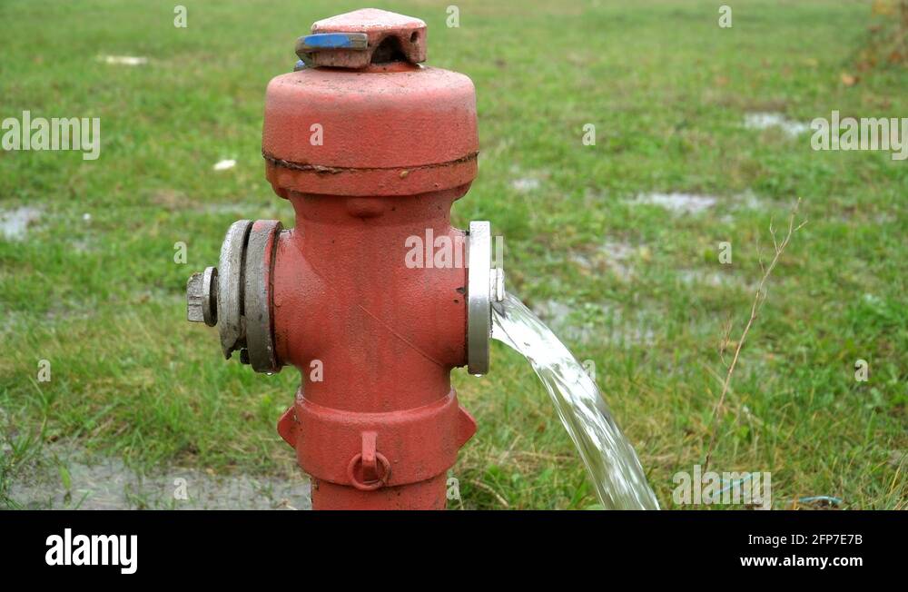 Detail of open fire hydrant water flowing on grass. Static. Blur ...