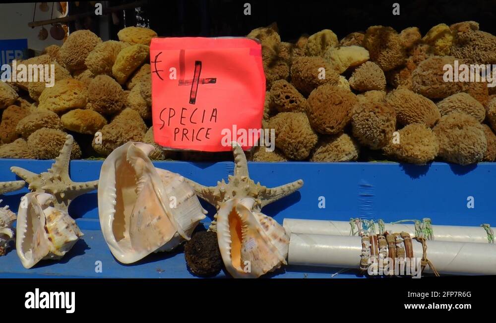 Sea shells stall Stock Videos & Footage - HD and 4K Video Clips - Alamy