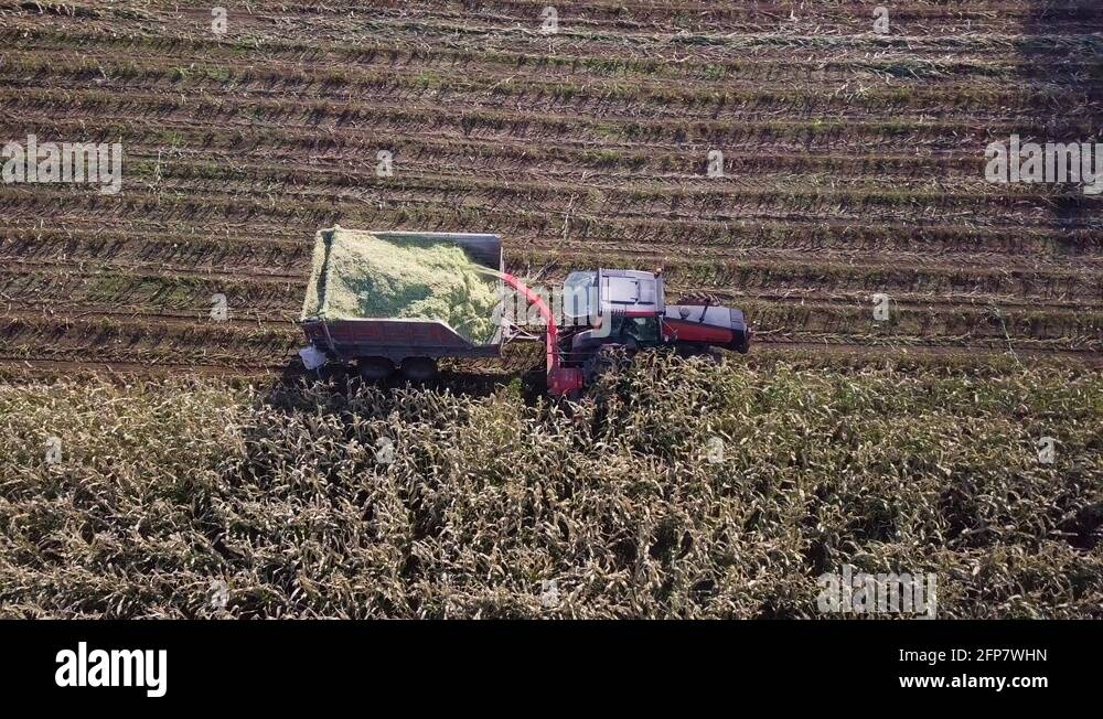 Corn harvesting machine Stock Videos & Footage - HD and 4K Video Clips ...