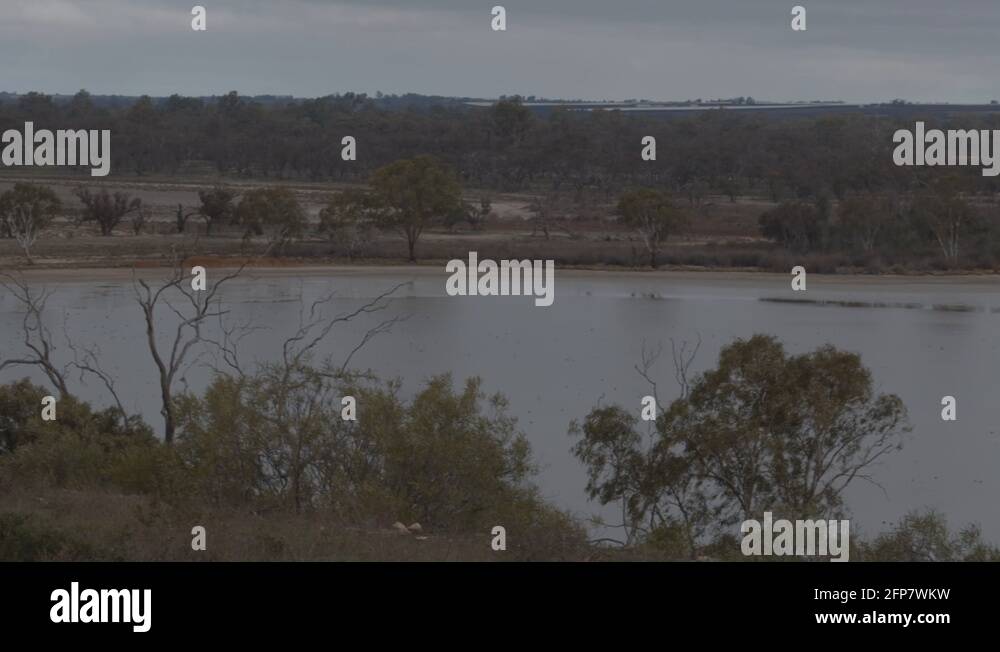 Dried up river australia Stock Videos & Footage - HD and 4K Video Clips ...