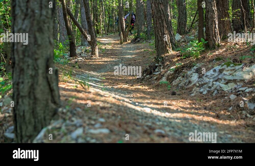 Downhill tracks Stock Videos & Footage - HD and 4K Video Clips - Alamy