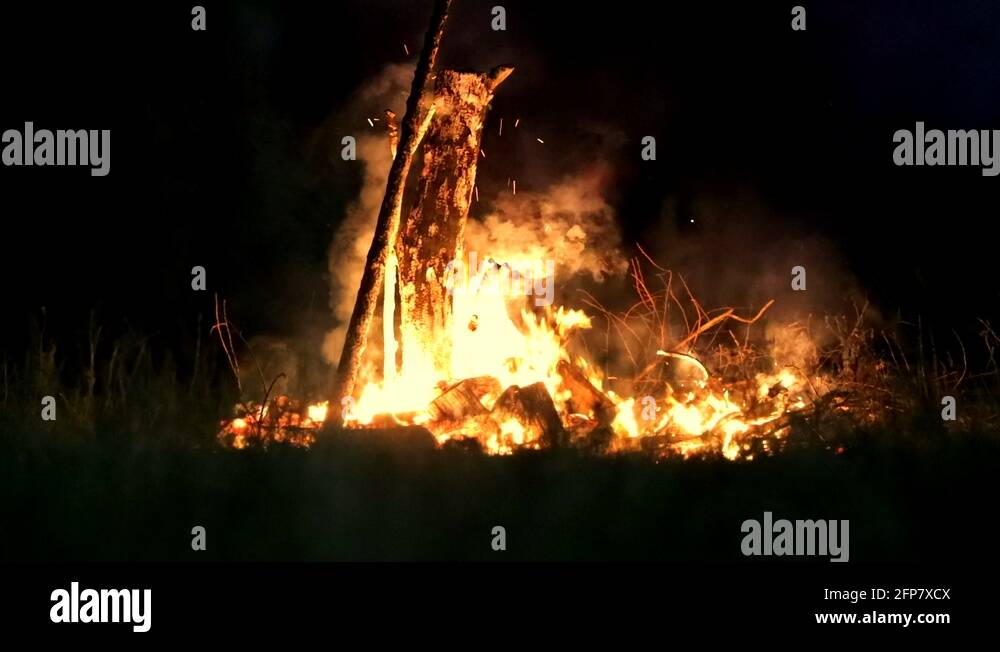 Wildfire in a forest Stock Videos & Footage - HD and 4K Video Clips - Alamy