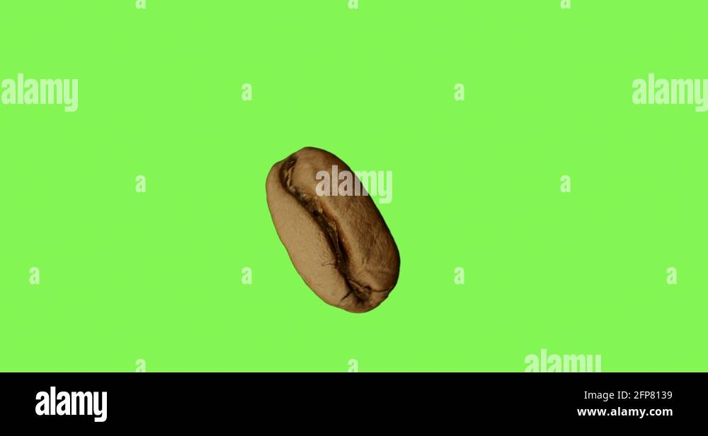 Real coffee bean Stock Videos & Footage - HD and 4K Video Clips - Alamy