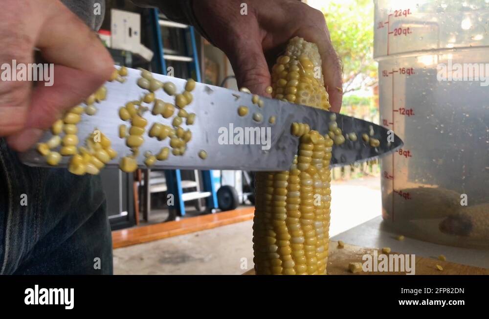 Man eating a corn on the cob Stock Videos & Footage - HD and 4K Video ...