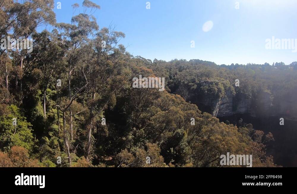 Dry rainforest australia Stock Videos & Footage - HD and 4K Video Clips ...