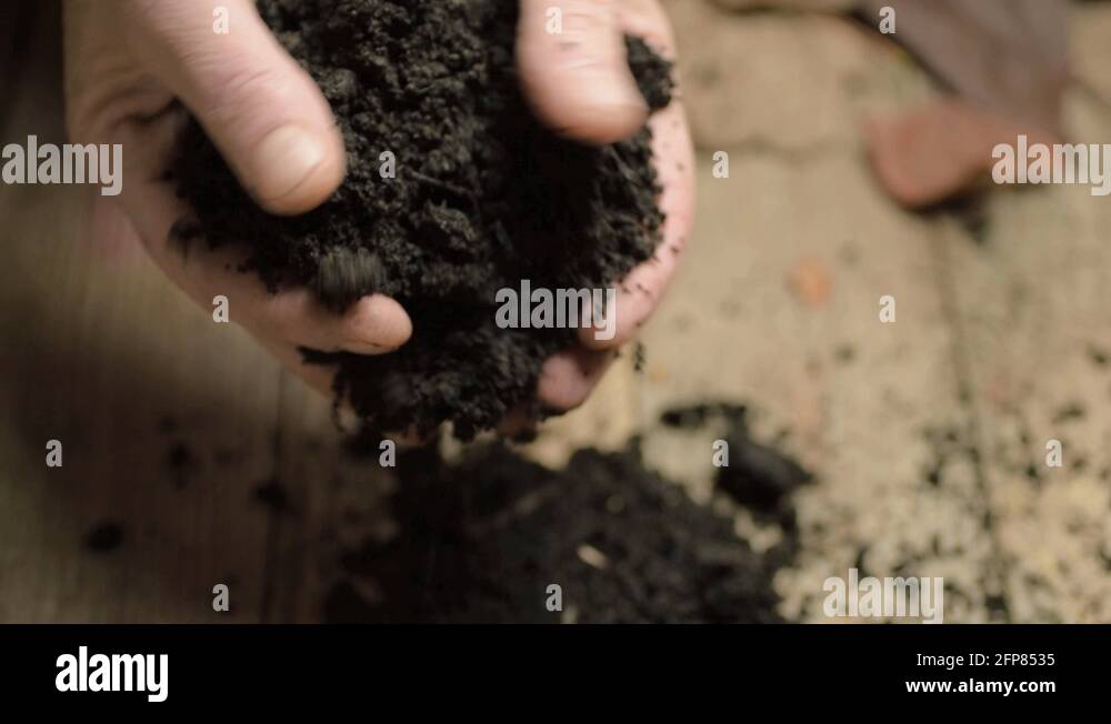Rich fertile soil Stock Videos & Footage - HD and 4K Video Clips - Alamy