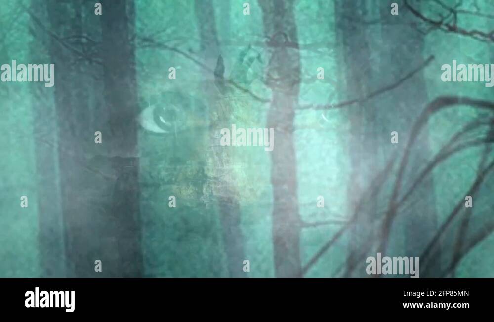 Horror set Stock Videos & Footage - HD and 4K Video Clips - Alamy