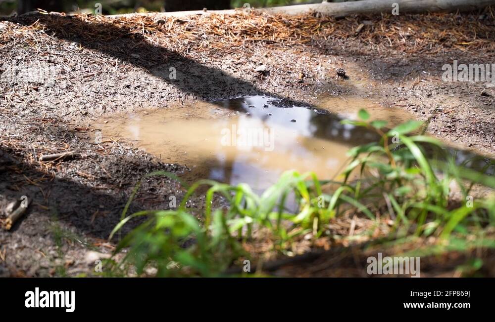 Muddy bike tyre Stock Videos & Footage - HD and 4K Video Clips - Alamy