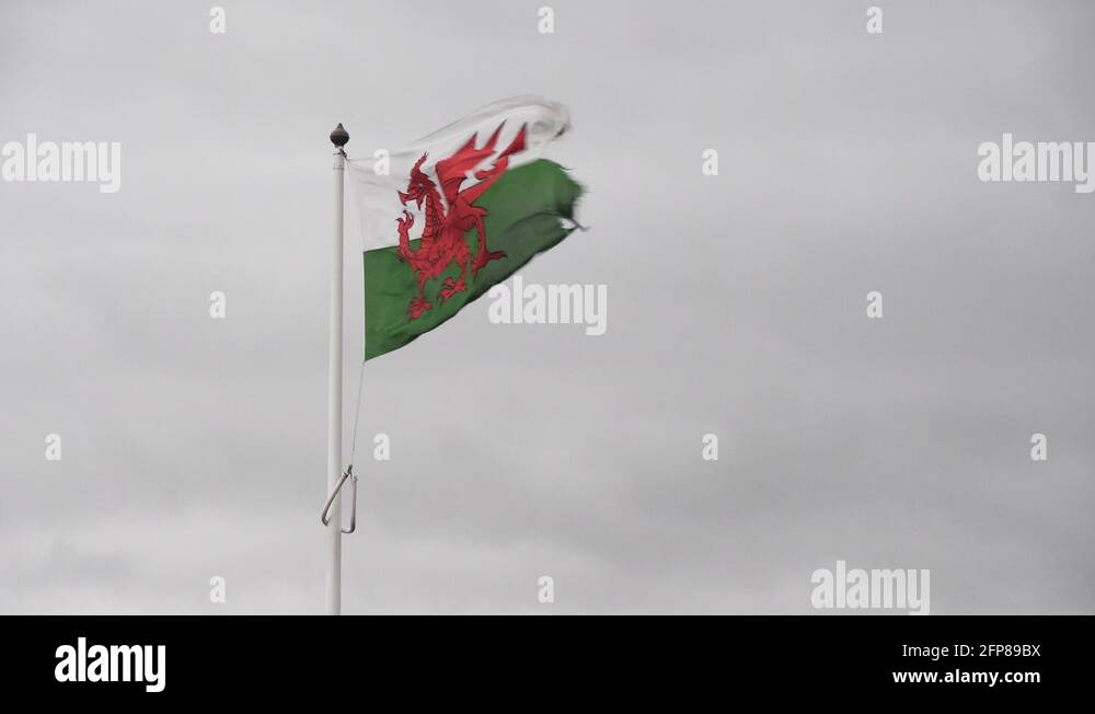 Welsh pride flag Stock Videos & Footage - HD and 4K Video Clips - Alamy