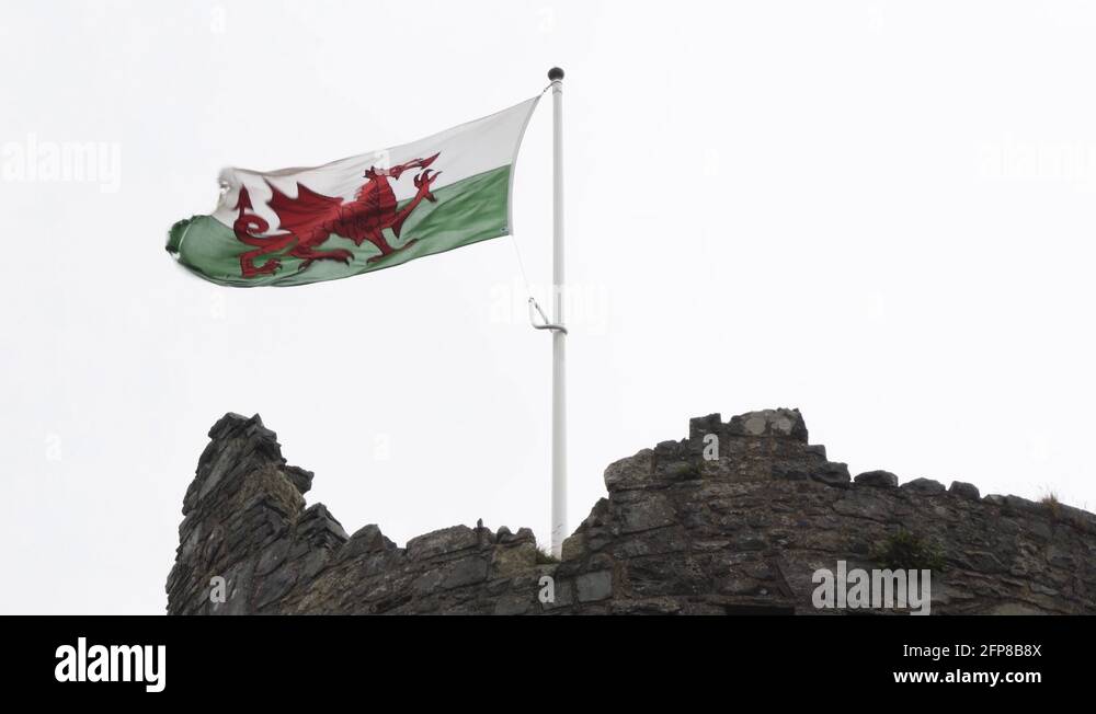 Welsh dragon national symbol wales Stock Videos & Footage - HD and 4K ...