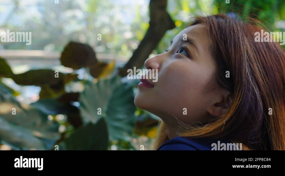 Woman looking up at ceiling Stock Videos & Footage - HD and 4K Video ...