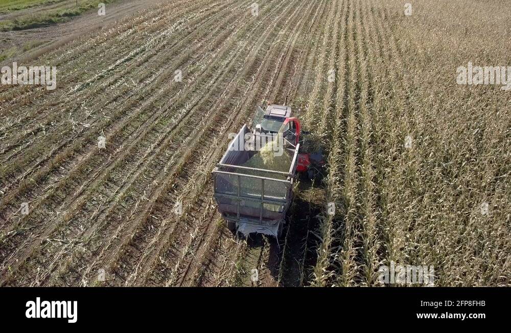 Filling trailer grass Stock Videos & Footage - HD and 4K Video Clips ...