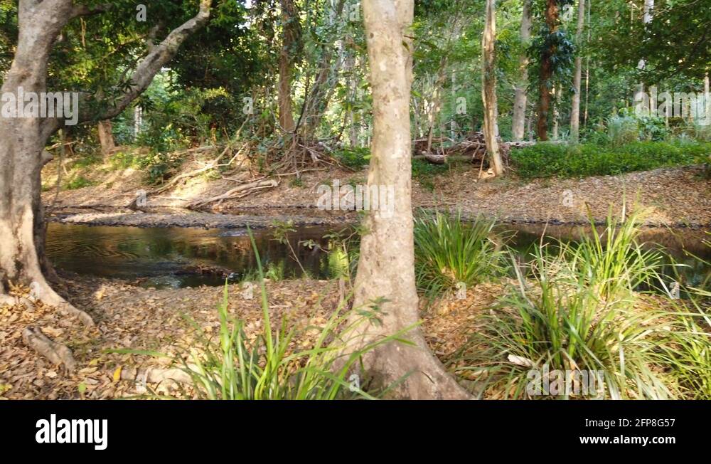 Pretty creek Stock Videos & Footage - HD and 4K Video Clips - Alamy