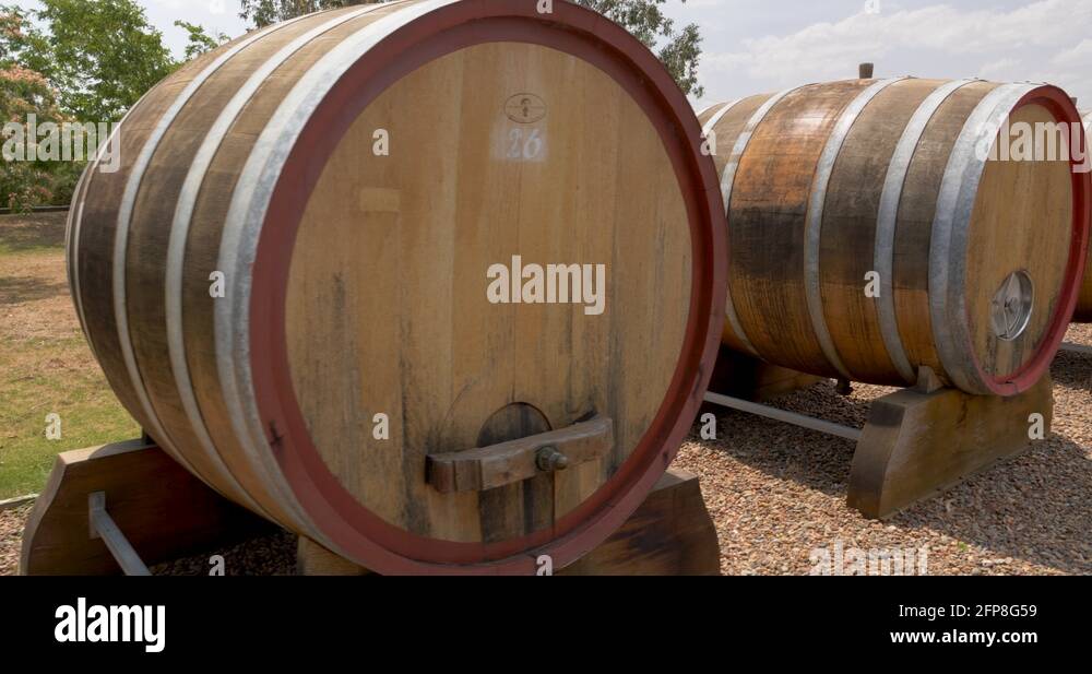 Oak wine barrels Stock Videos & Footage - HD and 4K Video Clips - Alamy