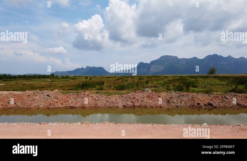 Lowland ecosystem Stock Videos & Footage - HD and 4K Video Clips - Alamy