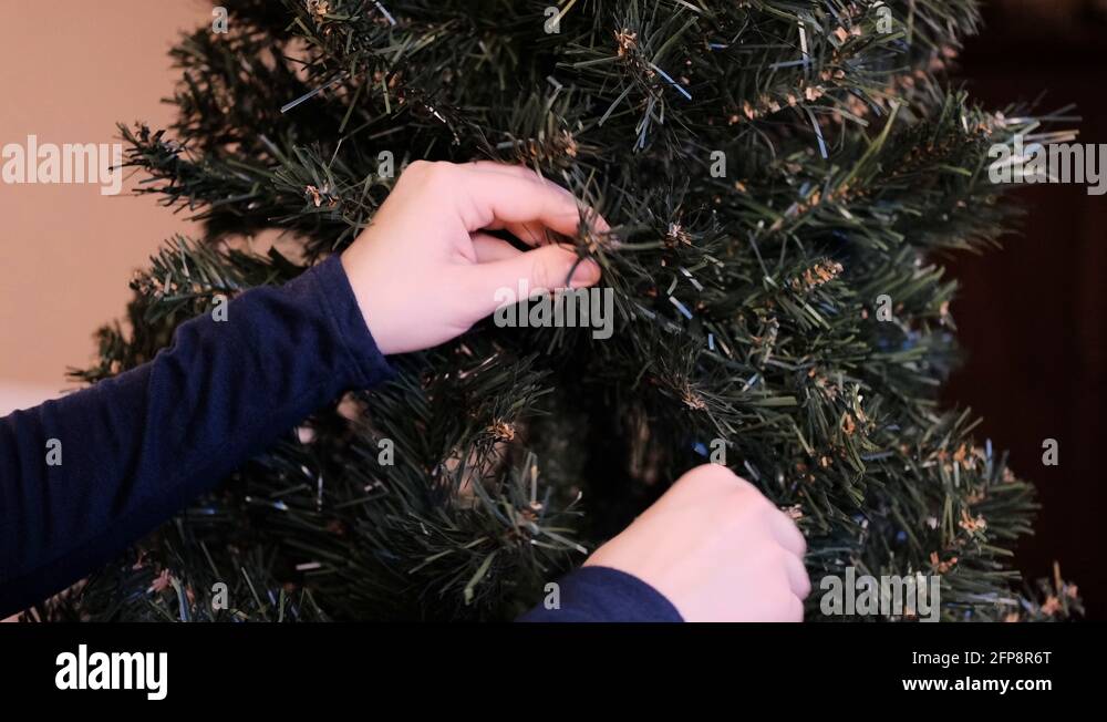 Straightening tree Stock Videos & Footage - HD and 4K Video Clips - Alamy