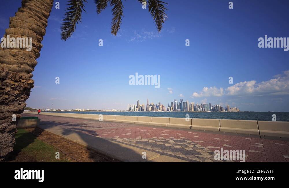 Corniche doha qatar palm tree Stock Videos & Footage - HD and 4K Video ...