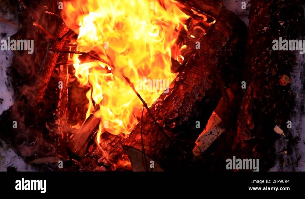 White ash canada Stock Videos & Footage - HD and 4K Video Clips - Alamy