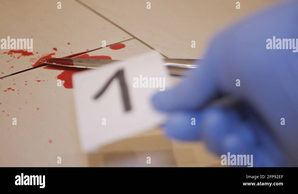Evidence in a case Stock Videos & Footage - HD and 4K Video Clips - Alamy