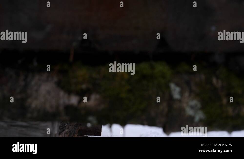 Close up side view of log cabin revealed, slow motion tilt Stock Video ...