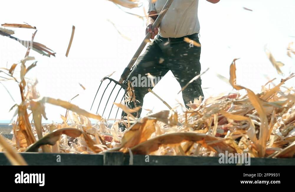 Farmer with a pitchfork Stock Videos & Footage - HD and 4K Video Clips ...