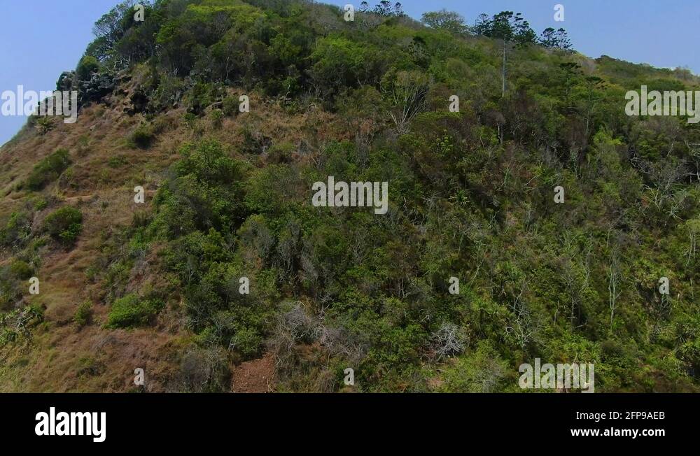 Bluff scrub Stock Videos & Footage - HD and 4K Video Clips - Alamy